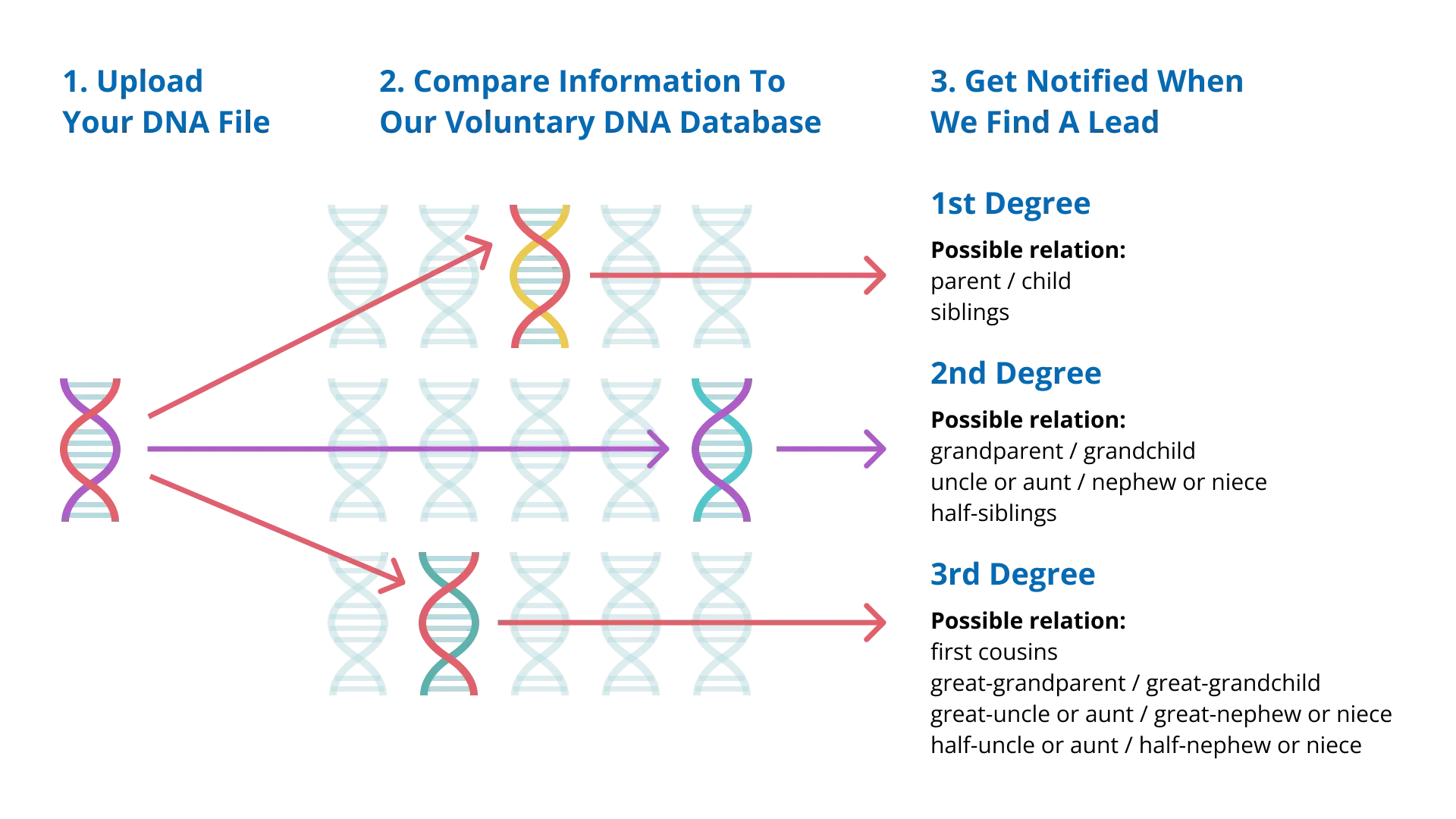 Global Adoption Search | A great place for those seeking help on 'How ...